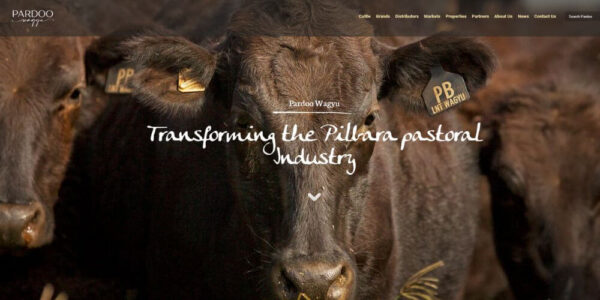 Best Australian Beef Brisket Brands to Buy